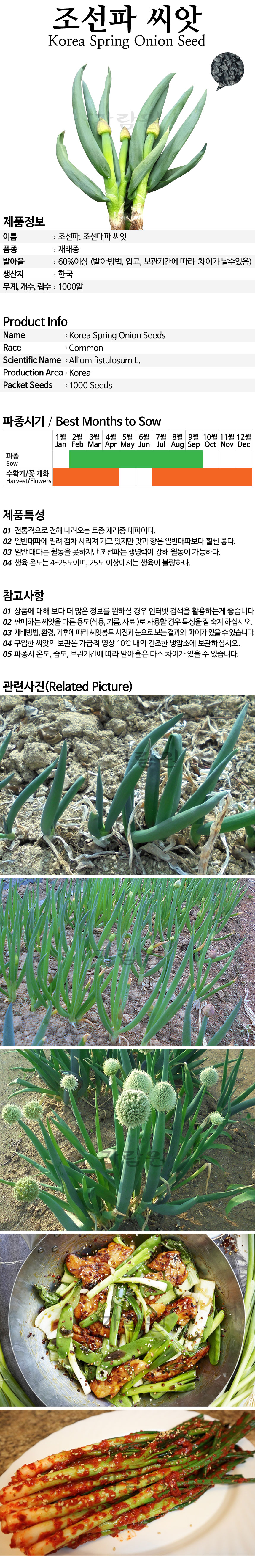 조선파 씨앗 채소씨앗 구조파 종자 대파 토종 1000알씨앗판매 쇼핑몰